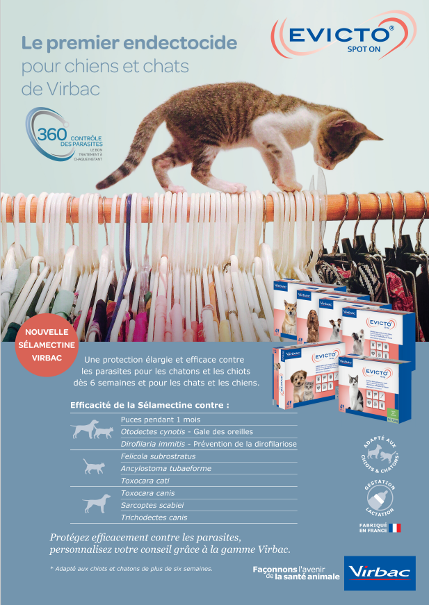 Evicto Solution Pour Spot-on |Virbac