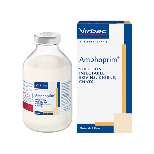 Amphoprim Solution Injectable Bovins | Virbac