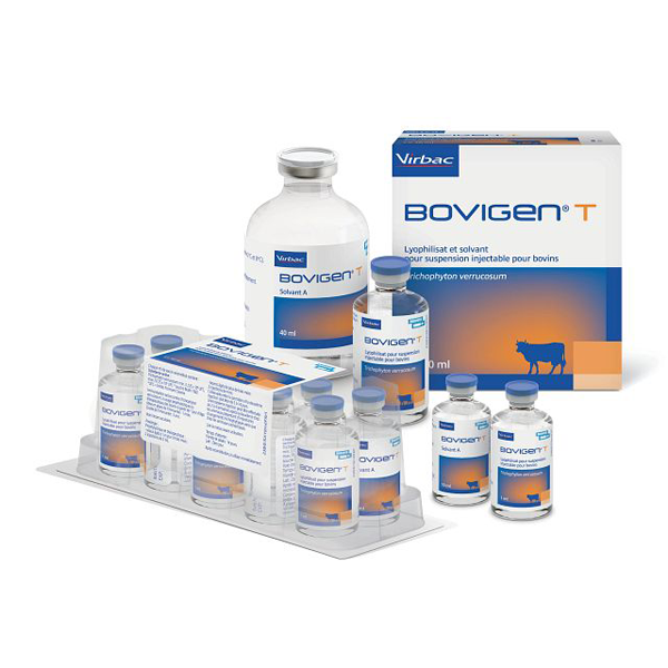 Bovin T Lyophilisat Solvant Suspension Injectable Bovin | Virbac