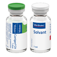 Canigen L Suspension Injectable | Virbac