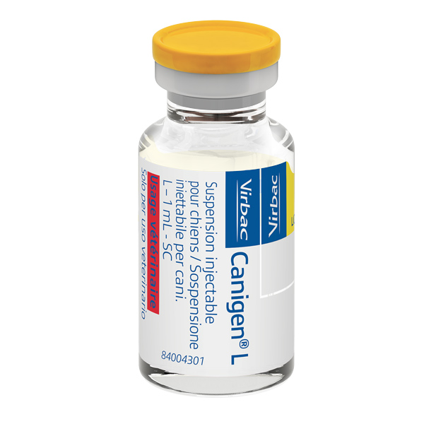 Canigen L Suspension Injectable | Virbac
