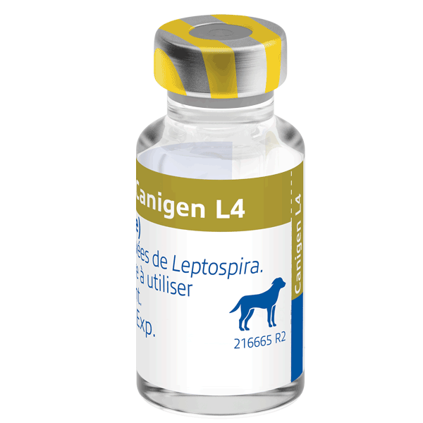 Canigen L4 Suspension Injectable | Virbac