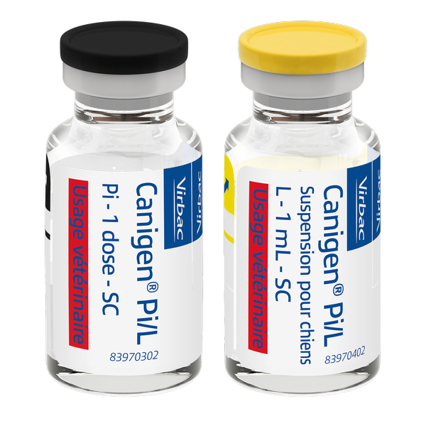 Canigen PI/L Lyophilisat Suspension Injectable | Virbac