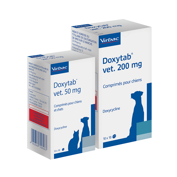 Doxytab Vet Comprimés pour Chiens et Chats | Virbac