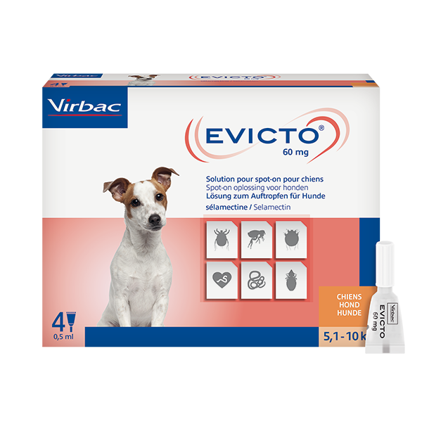 Evicto Solution Pour Spot-on |Virbac