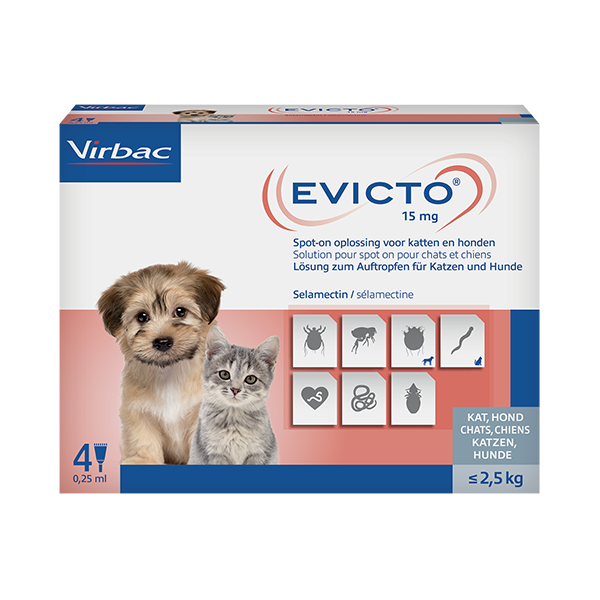 Evicto Solution Pour Spot-on |Virbac