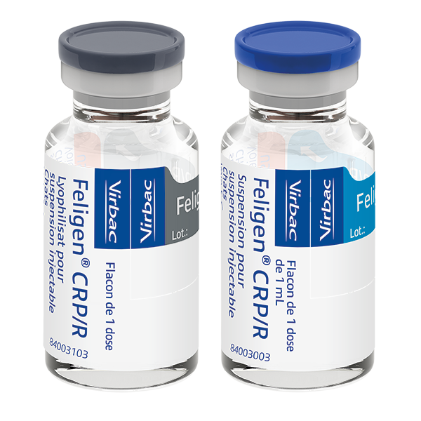 Feligen CRP/R Lyophilisat Suspension Injectable | Virbac