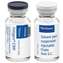 Feligen CRP/R Lyophilisat Suspension Injectable | Virbac