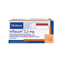 Inflacam Suspension buvable chien | Virbac