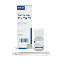 Inflacam Suspension Orale Chat | Virbac