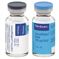 Feligen CRP/R Lyophilisat Suspension Injectable | Virbac