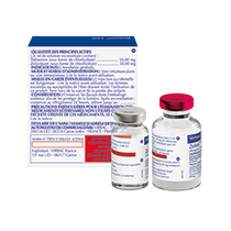 Zoletil Lyophilisat Solvant Chien Chat | Virbac